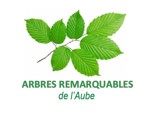 Arbres remarquables de l'Aube